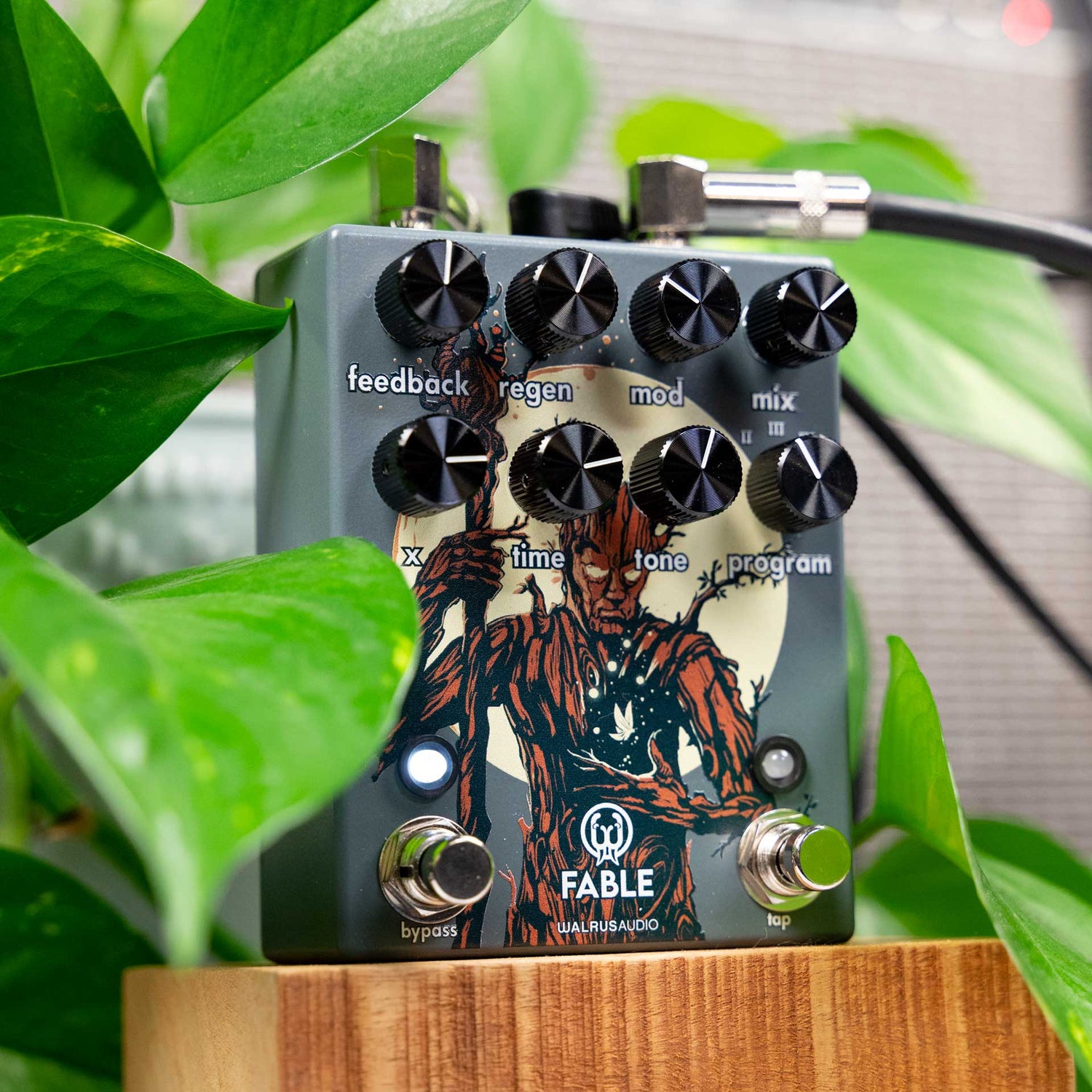 The new Walrus Audio Fable Granular Soundscape Generator – Carlton ...