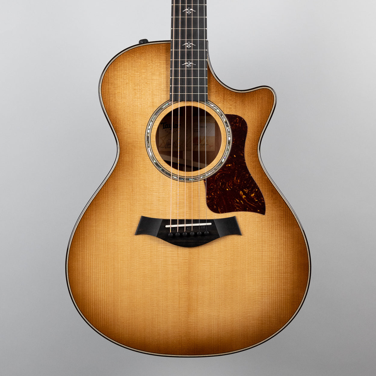 Taylor 512ce Urban Ironbark Acoustic Guitar – Carlton Music Center